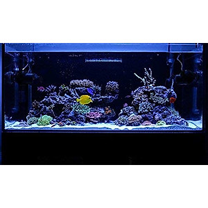 KZKR LED Aquarium Hood Lighting 72-78 inch Fish Tank Light Lamp for Freshwater Marine Saltwater Blue and White Decorations Light 6-7ft (34W) 180cm - 200cm