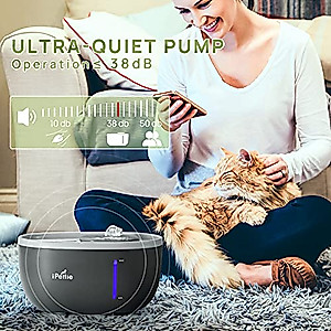 iPettie Avocado Pet Water Fountain with LED Light, 67oz/2.0L, Ultra Quiet Cat Water Fountain with Filter, Automatic Pet Water Fountain for Cats and Small Dogs, Grey