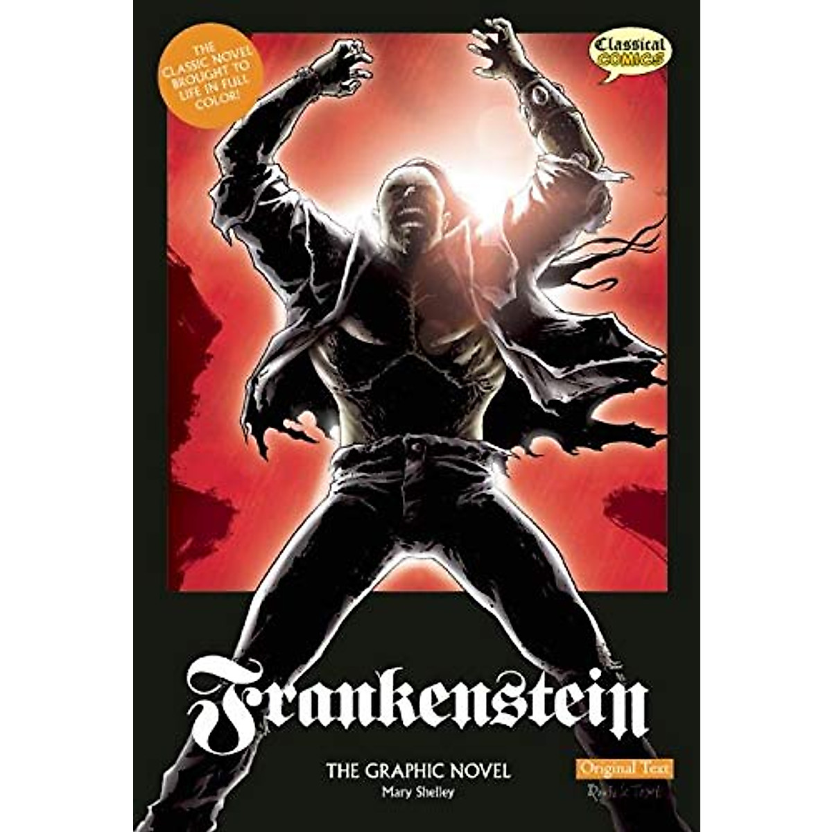 Frankenstein: The Graphic Novel (American English, Original Text)