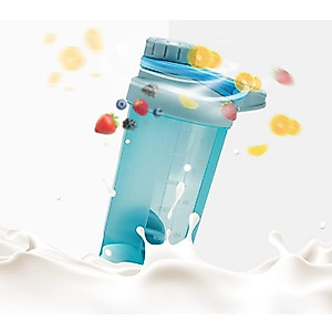 Shaker Bottle Blender with Classic Loop Top (BPA Free) – Best Protein Powder/Fruit Juice Mixer with Whisk Ball- 16 oz (Pink)