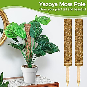 Yazoya Moss Pole 52.4 inches, 4pcs 17 inch Moss Pole for Plants Monstera, Moss Stick for Plants Support Extension to Grow Upwards, Coir Totem Pole for Climbing Plants with 65 feet Garden tie