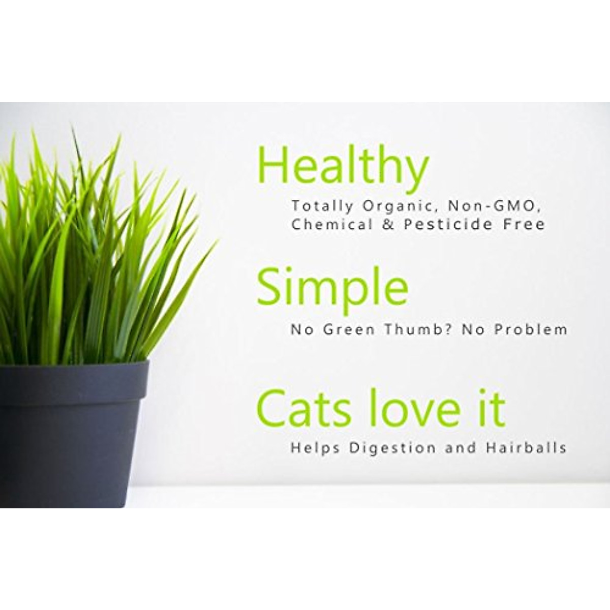Crafted-Brand Simple Cat Grass Blend | 100% US Organic + 4 Popular Seeds | Wheat, Barley, Oats, and Rye Seed Mix Combo | Show Your Love with a Healthy Pet Treat and Snack (6 Ounce (~4800 Seeds))