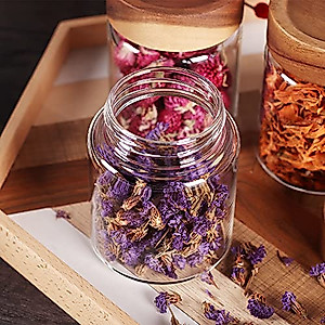 SAIOOL 3 Packs Glass Food Storage Jars with Screw Airtight Seal Acacia Wood Lids,Spice Jars with Lids, Organization for Jars Bottles Containers Travel Gear, Sugar, Salt,Coffee, cookies,spices