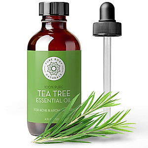 Pure Body Naturals Tea Tree Essential Oil, 4 Fl Oz with Dropper - Undiluted Therapeutic Grade for Your Face, Skin, Hair and Diffuser - 100% Pure Melaleuca Oil for Acne, Toenails