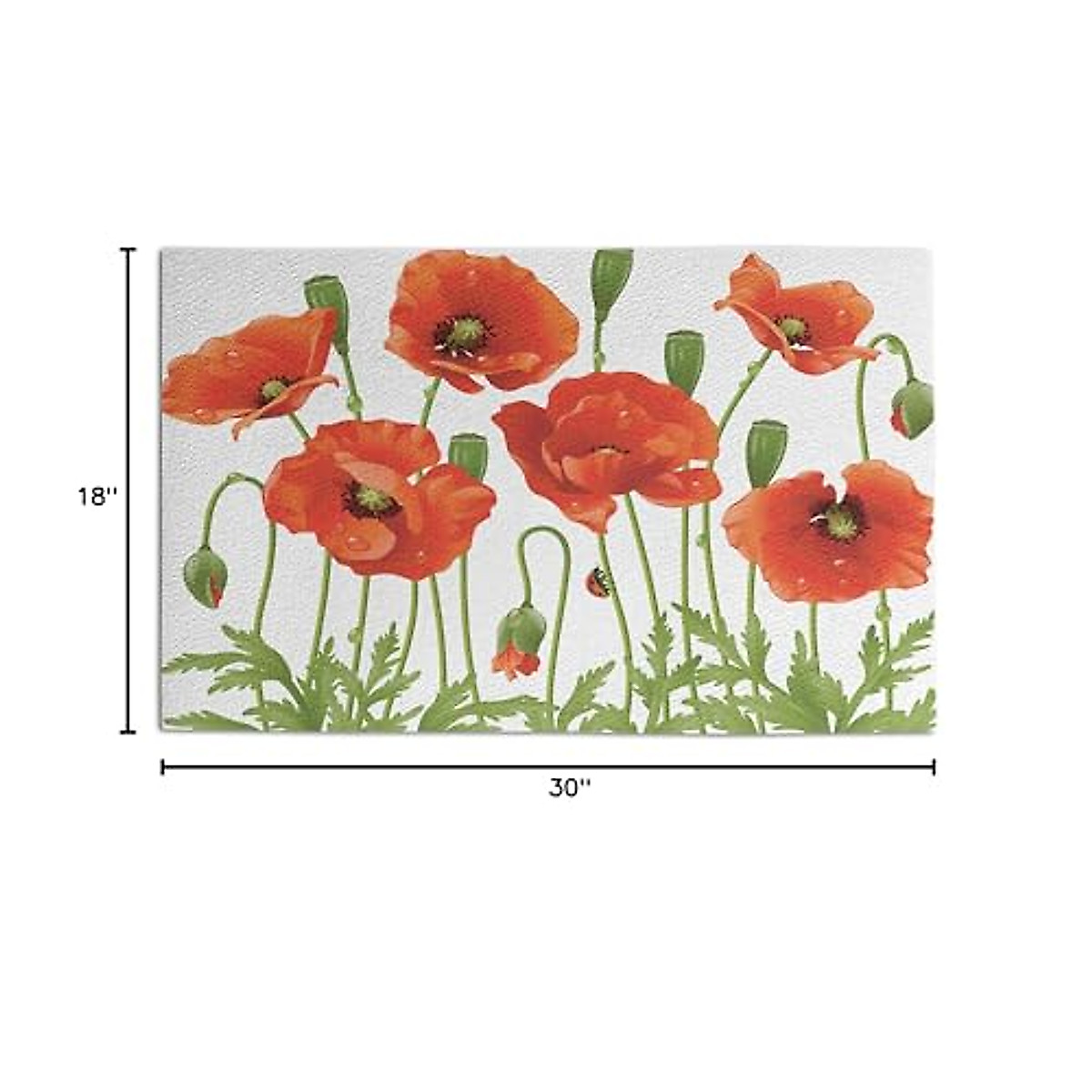 Lunarable Flower Doormat, Spring Wild Flower Poppy Ladybug Leaf Springtime Garden Nature Backyard Print, Decorative Polyester Floor Mat with Non-Skid Backing, 30" X 18", Orange Green