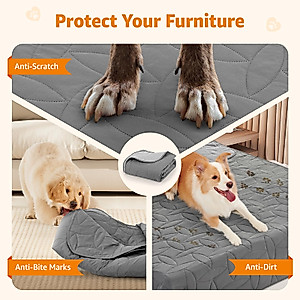 LOOBANI 2 Pack Waterproof Dog Blanket, Reversible and Washable Pet Bed Covers, Protects Furniture, Couch, Bed, and Car from Spills and Scratches, Soft and Cozy for Large Dogs and Puppies, 68x82In