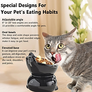 Elevated Cat Bowls, 15° Tilted Raised Cat Food Bowl Anti-Vomiting,Whisker Friendly, Cat Dishes for Protecting Spine (Black)