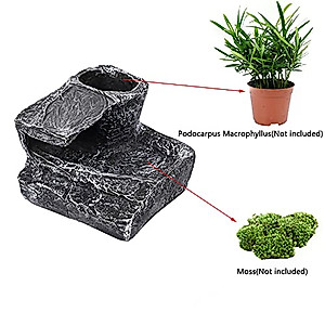 Flushbay Turtle Basking Platform Tortoise Resting Rock Climbing Rock Resin Aquarium Landscape Rock Decoration Reptile Habitat Ornament for Turtle, Newt, Frog, Lizard, Bearded Dragons