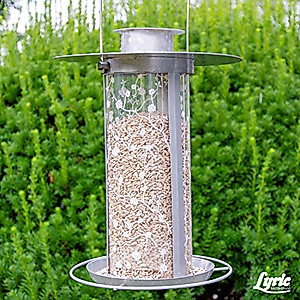 Lyric Sunflower Kernels Wild Bird Seed No Waste Bird Food Attracts Finches & More 25 lb. bag