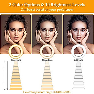 Selfie Ring Light with Stand,Video Conference Lighting,3 Dimmable Color and 10 Brightness Level Easy to Use Suitable for Webcam Lighting/Remote Working