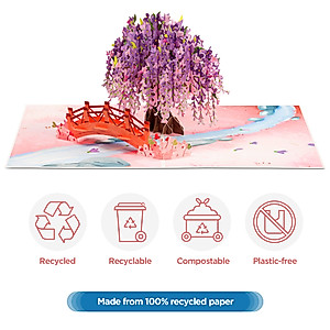 Frndly by Paper Love, 3D Wisteria Pop Up Card, Gift for Birthday, Wedding, Anniversary, Mothers Day, Thank You, Get Well, All Occasion - Handcrafted 100% Recycled and Eco-Friendly, 8" x 6" Cover - Includes Envelope and Note Tag