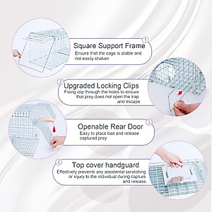 Live Feral Cat Trap Cage with Cover, Heavy Duty Folding Animal Traps Cage for Stray Cats, Humane Cat Trap for Raccoon, Squirrel, Skunk, Catch and Release - (32 x 10 x 12 inches, Trap Cage with Cover)