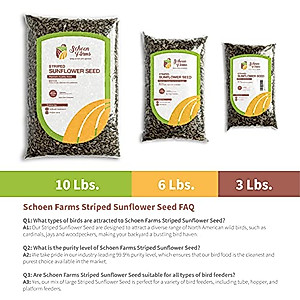 Schoen Farms Striped Sunflower Seeds for Birds, (3 Pound)