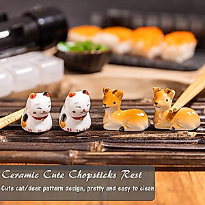 FUNGYAND Sushi Making Kit, 27 Pcs Pro Sushi Kit Includes Bazooka Roller, Cutting Mold, Bamboo Mats, Musubi Maker, Nigiri Mold, Sushi Knife, Chopsticks, Sauce Dishes, & More All-in-One DIY Sushi Gift