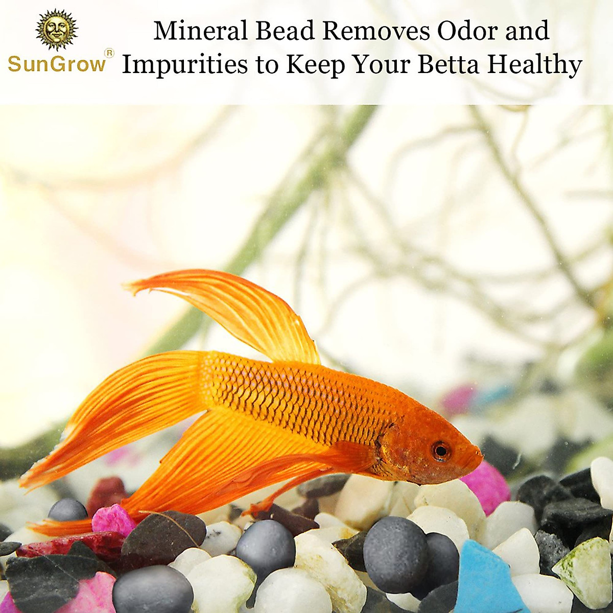 SunGrow Calcium-Rich Balls for Betta, Water Conditioner with Over 30 Beneficial Elements, Freshwater Fish Tank Decorations, 10 Pcs per Pack