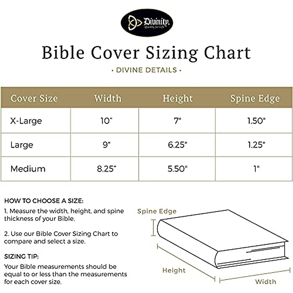 Divinity Boutique for I Know XL Bible Cover, Multicolor