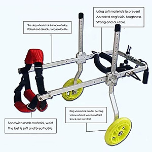 Adjustable Dog Wheelchair, Disabled Dog Rehabilitation Wheelchair, Used for Small and Medium-Sized Dogs Hind Leg Rehabilitation, Light Weight (Size : L)