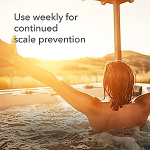 Leisure Time B Defender for Spas and Hot Tubs, 1-Quart