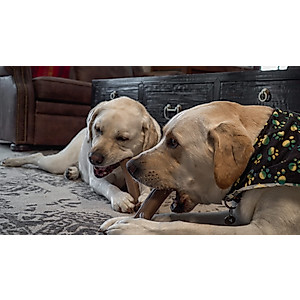 Hero Bonetics Stick, Wood Scent Chewable Dog Toy, Gentle on Teeth & Tummy