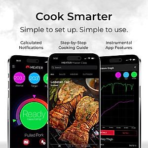 MEATER Block | 4-Probe Premium Smart Meat Thermometer | Bluetooth to WiFi Range Extension | for The Oven, Grill, Kitchen, BBQ, Smoker, Rotisserie