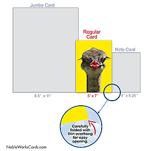 NobleWorks Wild Kisses - Ostrich - Get Well Greeting Card with Envelope (4.63 x 6.75 Inch) - C9280GGWG