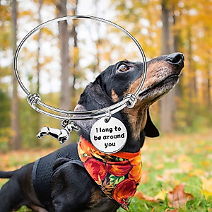 BAUNA Dachshund Bracelet Doxie Dog Jewelry I Long To Be Around You Wiener Dog Pet Owner Gift For Dachshund Lover (Dachshund Bracelet)