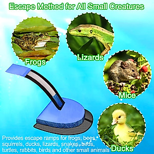 AOYEVGS Pool Ramp for Animals to Escape, Pool Animal Critter Saving Escape Ramp for Pool, Pool Frog Saver, Saving Critters, Frogs, Mices, Lizards, Ducks, Birds (1-Pack, Blue)