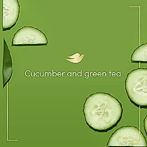 Dove Hair and Skin Care Regimen Pack Cool Moisture For Soft Skin and Clean Hair Includes 2 Hair and 2 Skin Care Products 4 Count