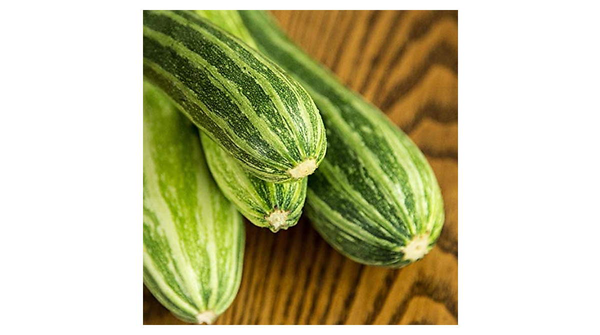 Grow Heirloom Cocozelle Zucchini Seeds | Compact & Non-GMO