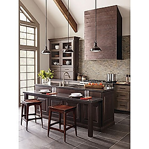 Progress Lighting P5188-108 Fresnel Lens Pendants, Bronze