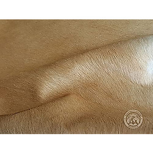 Genuine Palomino Beige Cowhide Rug Large 6 x 7-8 ft. 180 x 240 cm