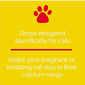 Calcicat D3 Dietary Supplement by Interfarma Corp | Healthy Bones in Cats, & Joint Support Supplement for Cats | with Calcio, Vitamin D3, & Magnesium sulfate | Orange Flavor, Pediatric Drop.