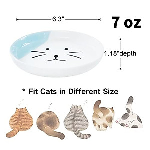 Ceramic Shallow Cat Food Dish, Cat Wet Food and Raw Meat Flat Cat Bowls; Stress Relief of Whisker Fatigue Cat Dishes, Wide Plate for Kittens Small Animals and Short Legged Munchkin Cat Set of 2