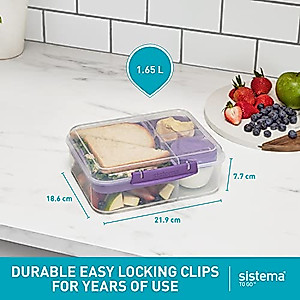 Sistema Bento Box Adult Lunch Box with 2 Compartments