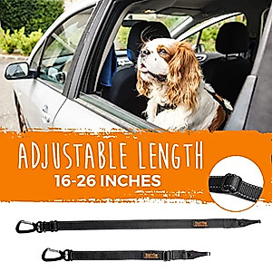Mighty Paw Dog Seat Belt | Latchbar Dog Seatbelt Tether, Pet Seat Belt for Car, Dog Car Leash, Dog Safety Belt for Car, Seatbelt for Dog in Car, Dog Seat Belt for Car, Dog Car Seat Belt Large - Puppy