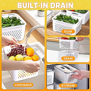 Loyala 3 PCS Fruit Containers for Fridge Food Storage Containers with Removable Colander Lids Airtight Fruit Storage Containers for Fridge Fruits Vegetables Strawberry Salad Meat（3pcs with handles）