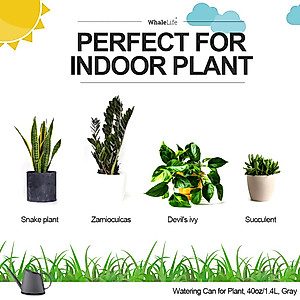 WhaleLife Indoor Watering Can for House Bonsai Plants (1.4L, Gray)