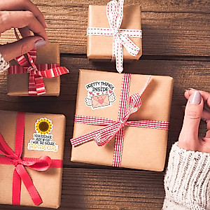 Wailozco Cute Pretty Things Inside Business Stickers,Funny Mail Sticker for Small Business,Happy Mail Stickers for Business Packages/Handmade Goods/Bags 240 PCS