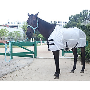 Horse Mesh Fly Sheet Standard Neck Summer Rug 66"