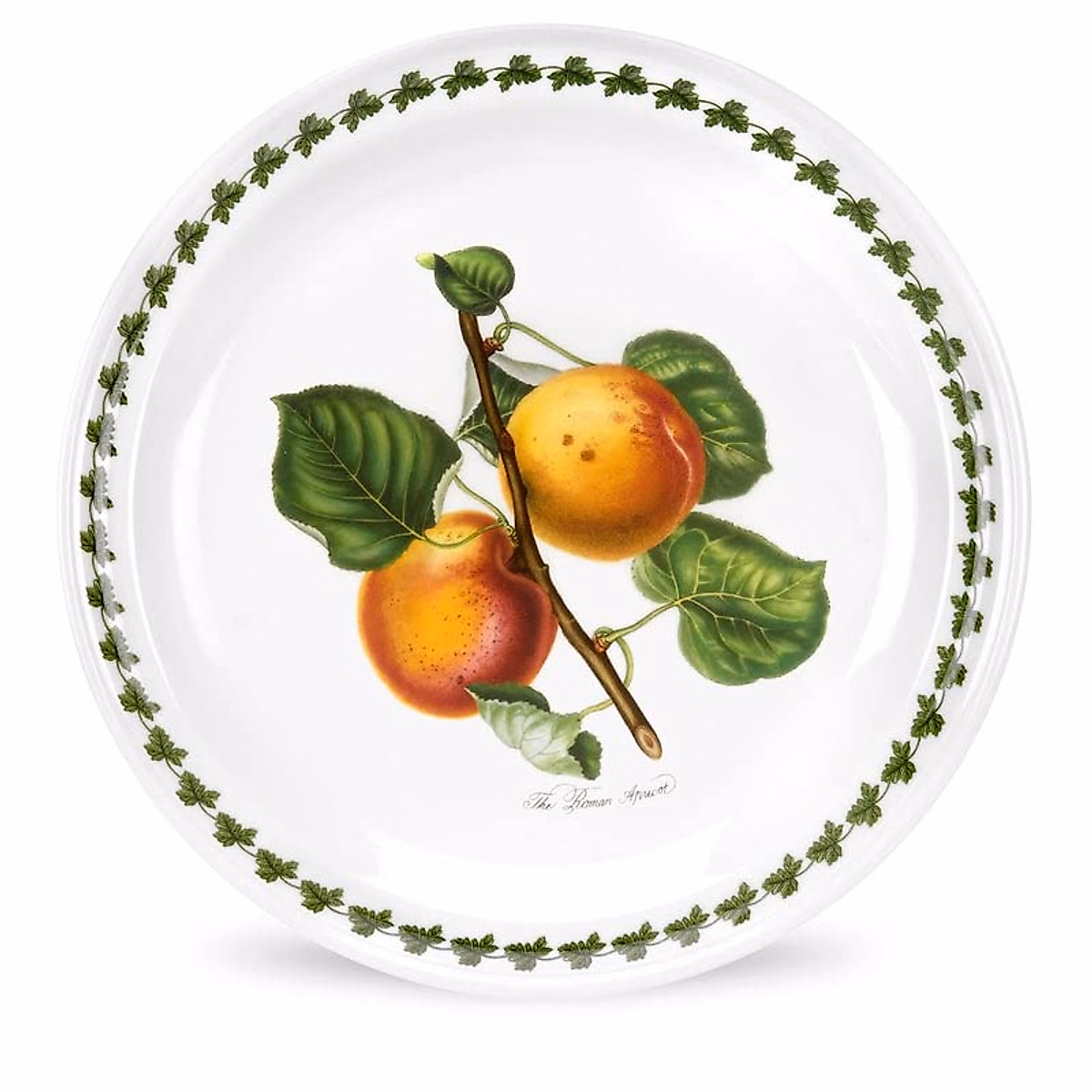 Portmeirion Pomona Collection | Set of 6 | Ceramic Dinnerware Dish Set | Microwave and Dishwasher Safe | Assorted Fruit Motifs | Made in England (Salad Plates)
