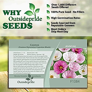 Outsidepride 50 Seeds Annual Cosmos Bipannatus Cupcakes Blush Cut Flower Seed Mix for Planting