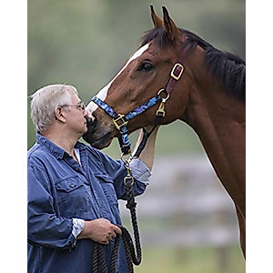 Cavalier King Charles Spaniel Art Print | Cav KC Gifts | From Original Painting by Ron Krajewski | Hand Signed Artwork in 8x10” and 11x14” Sizes
