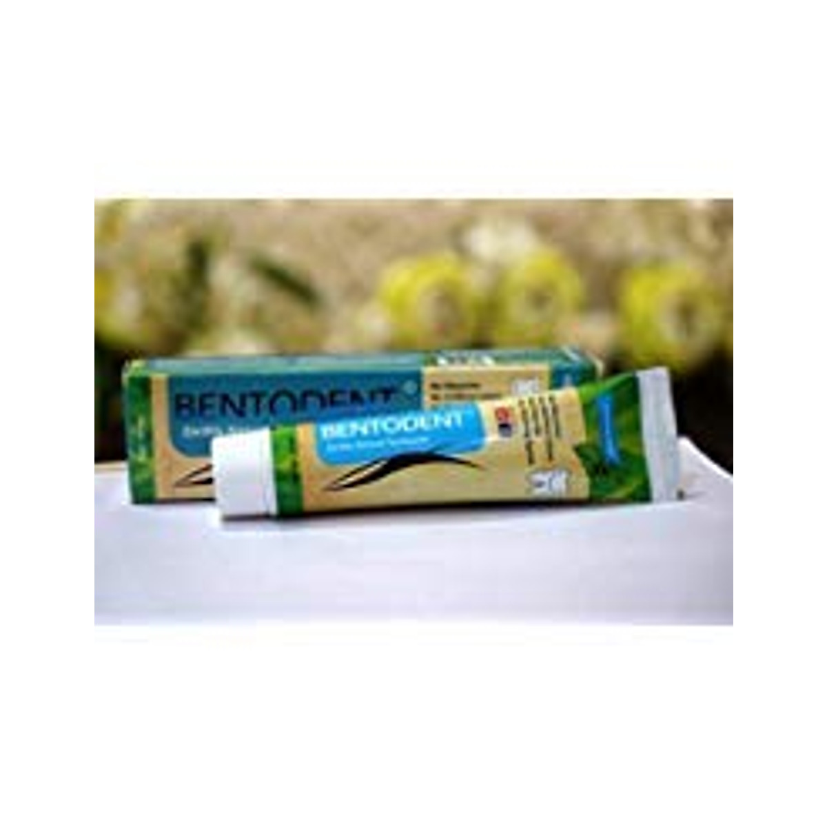 Bentodent Natural Toothpaste for Entire Family Incl Kids - SLS Free, Fluoride Free - Freshens Breath, Helps Reduce Plaque by Brushing (Premium Mint)