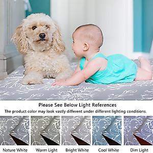 Cosilyt 3×5 Feet Extra Large 1/10" Ultra Thin Front Door Mat Indoor Entryway Area Rug for Inside Entry, Non Slip Washable Rubber Interior Door Mats Entrance Home, Baroque Grey