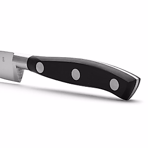 ARCOS Paring Knife 4 Inch Stainless Steel. Kitchen Knife for Peeling Fruits and Vegetables. Ergonomic Polyoxymethylene Handle and 100mm Blade. Series Riviera. Color Black