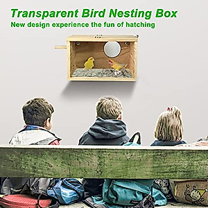 Parakeet Nesting Box, Transparent Bird Box Bird Nests for Cages Nest Box with Perch Wood Bird Cage House Nidos para Pajaros Periquitos for Cockatiel Lovebirds Budgie Finch Parrotlets Canary Conure