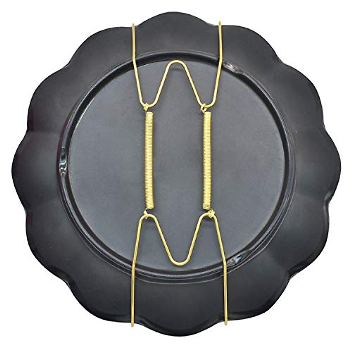 Fasunry 12 Pack Plate Hangers, 8 10 12 Inch Wall Plate Hangers and 16 Pack Wall Hooks, Compatible 7.5 to 12.5 Inch Decorative Plates, Antique China, Antique Plates and Arts