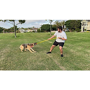 Runball Dog Rope Toy with Ball for Tug of War, Training, Fetch, Interactive Pull Toy, Teeth Cleaning Ball for Medium and Large Dogs, 10 Foot Rope and 2.75 Inch Ball