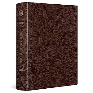 ESV Single Column Journaling Bible, Large Print (Bonded Leather, Mocha)