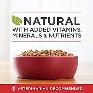 Purina ONE Classic Ground Beef and Brown Rice Entree Adult Wet Dog Food - (12) 13 oz. Cans